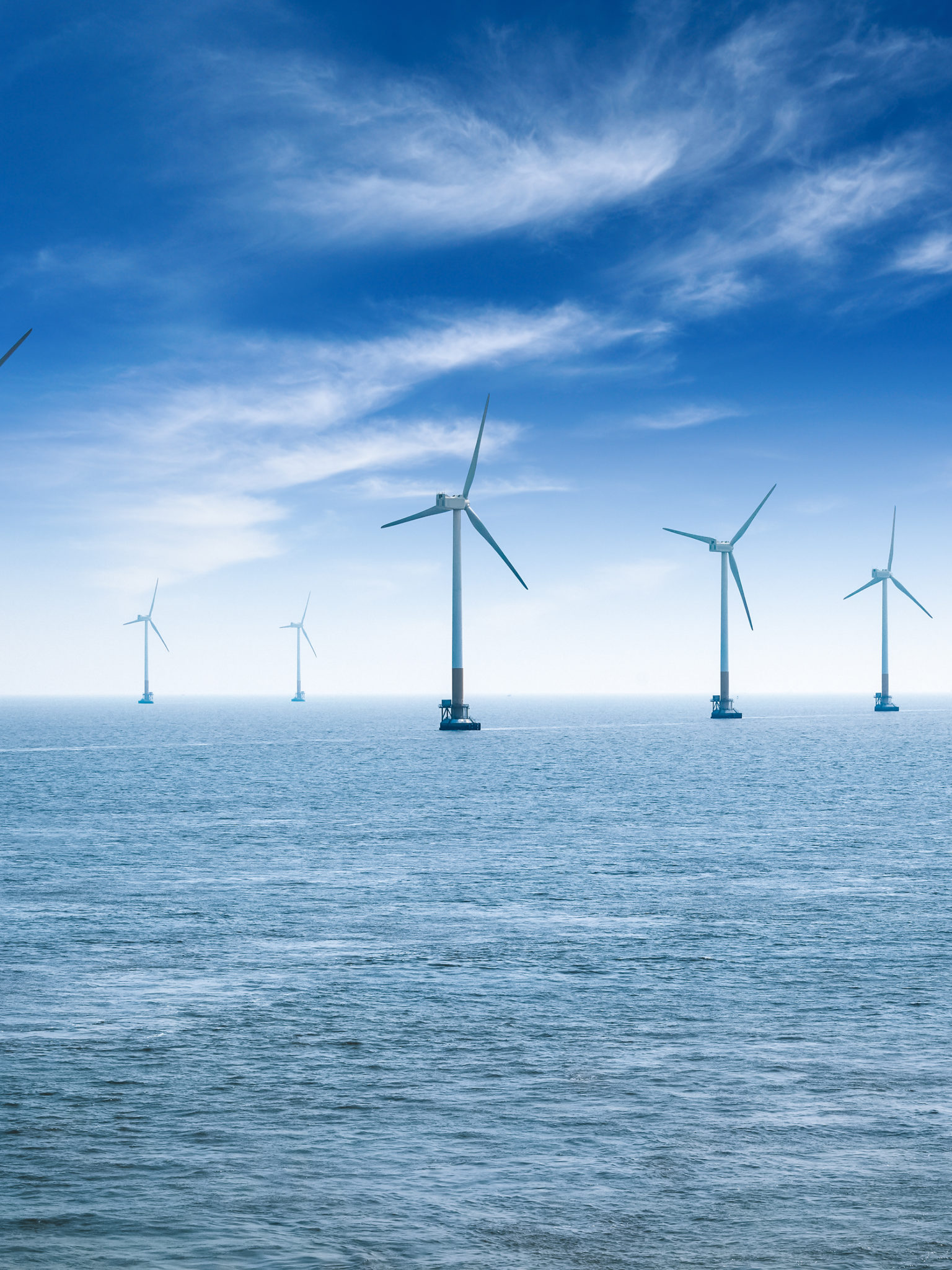 Zangenberg Analytics - IT-prissætning og Outsourcing Rådgivning